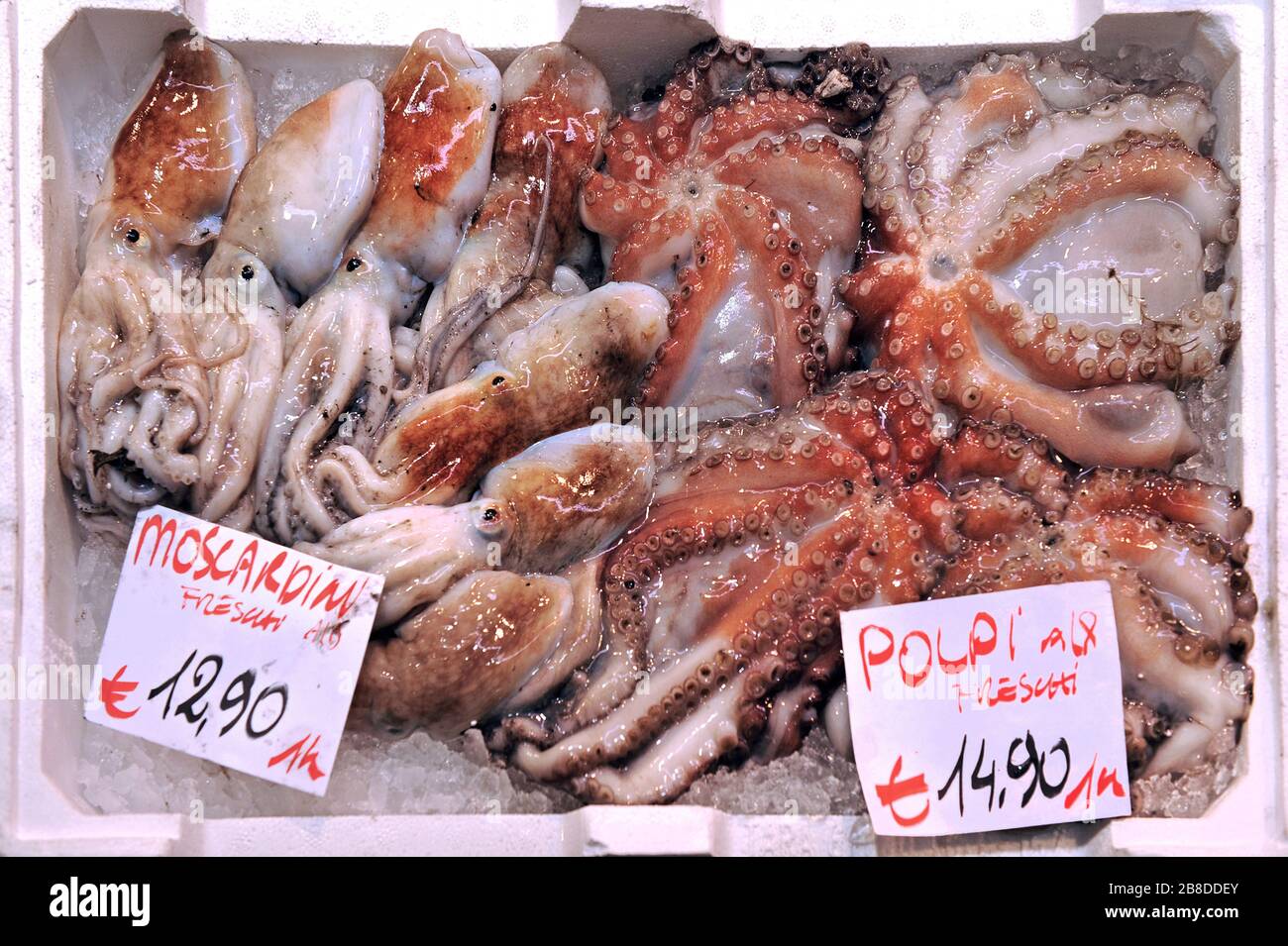 Octopuses at a fish market in Genoa/ Italy Stock Photo - Alamy