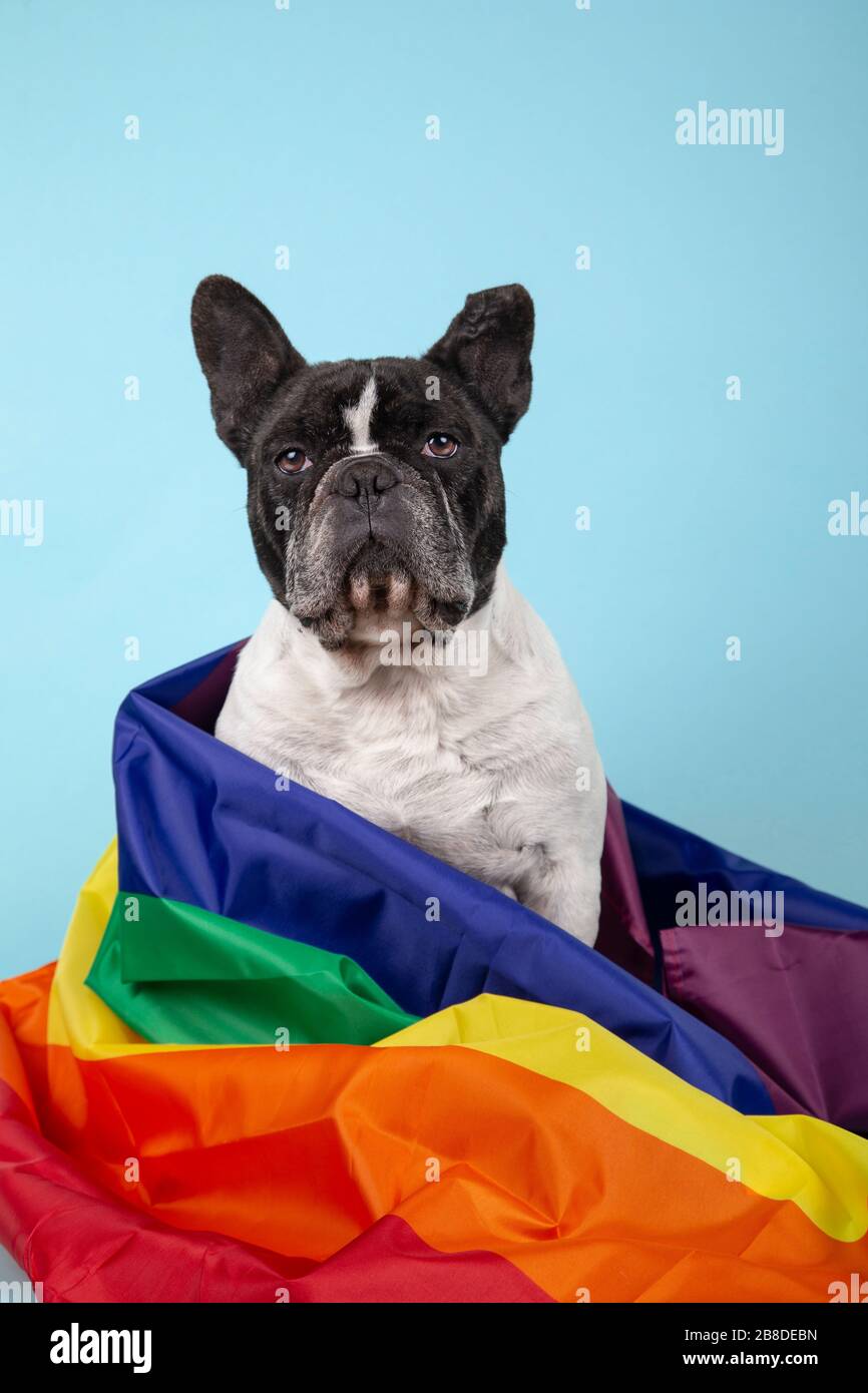 Transsexual hi-res stock photography and images - Alamy