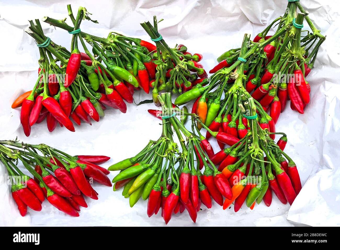 Green hot chilli hi-res stock photography and images - Alamy