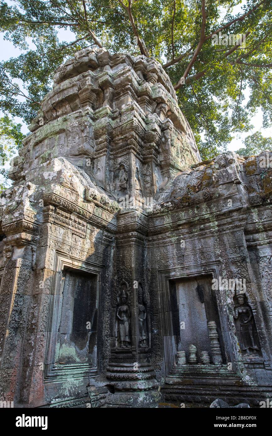 Ancient Khmer architecture ,Ta Prohm temple ruins hidden in jungle in ...