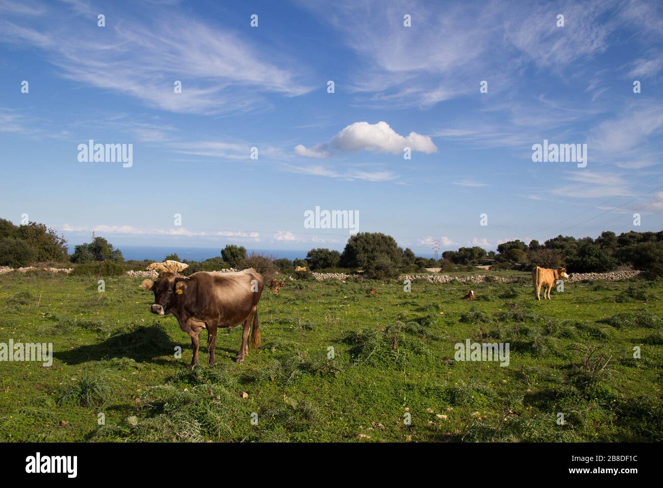 Panorama sicilian mountains hi-res stock photography and images - Alamy