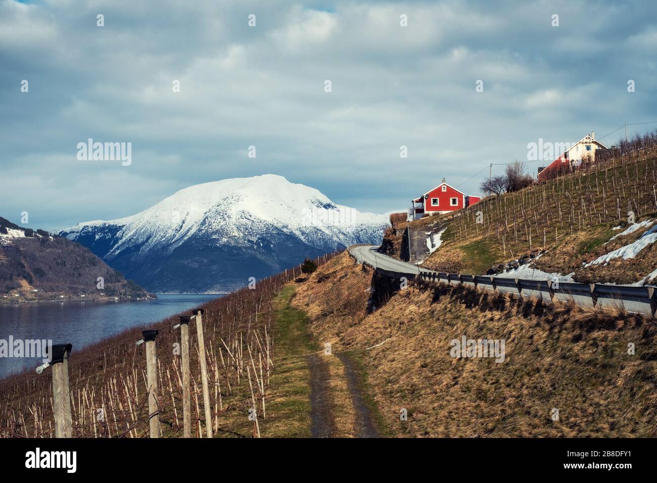 Hardangerfjord cider hi-res stock photography and images - Alamy
