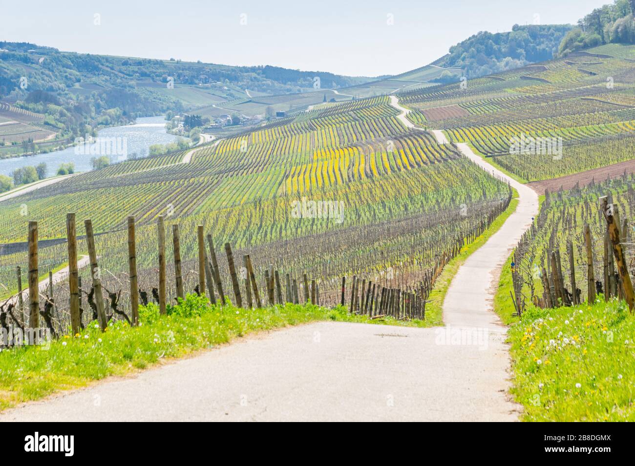 Vineyards plantations hi-res stock photography and images - Alamy