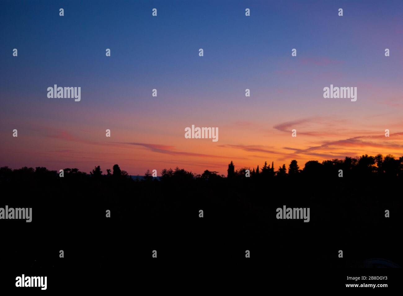 Purple sunset over black trees. Horizontal photo Stock Photo - Alamy