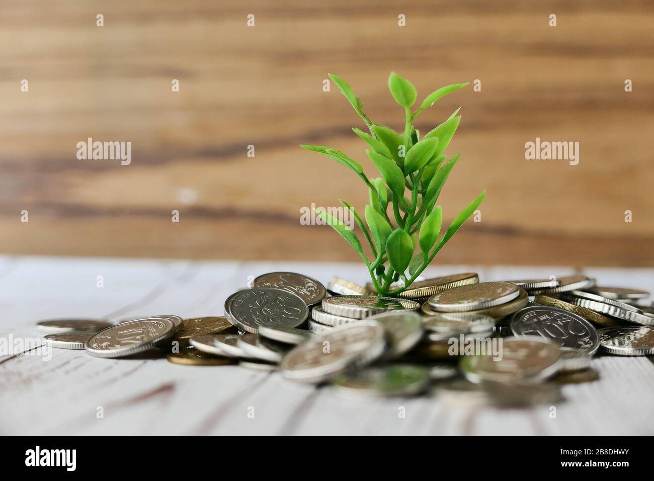 young plant growing with stack of coins Stock Photo - Alamy