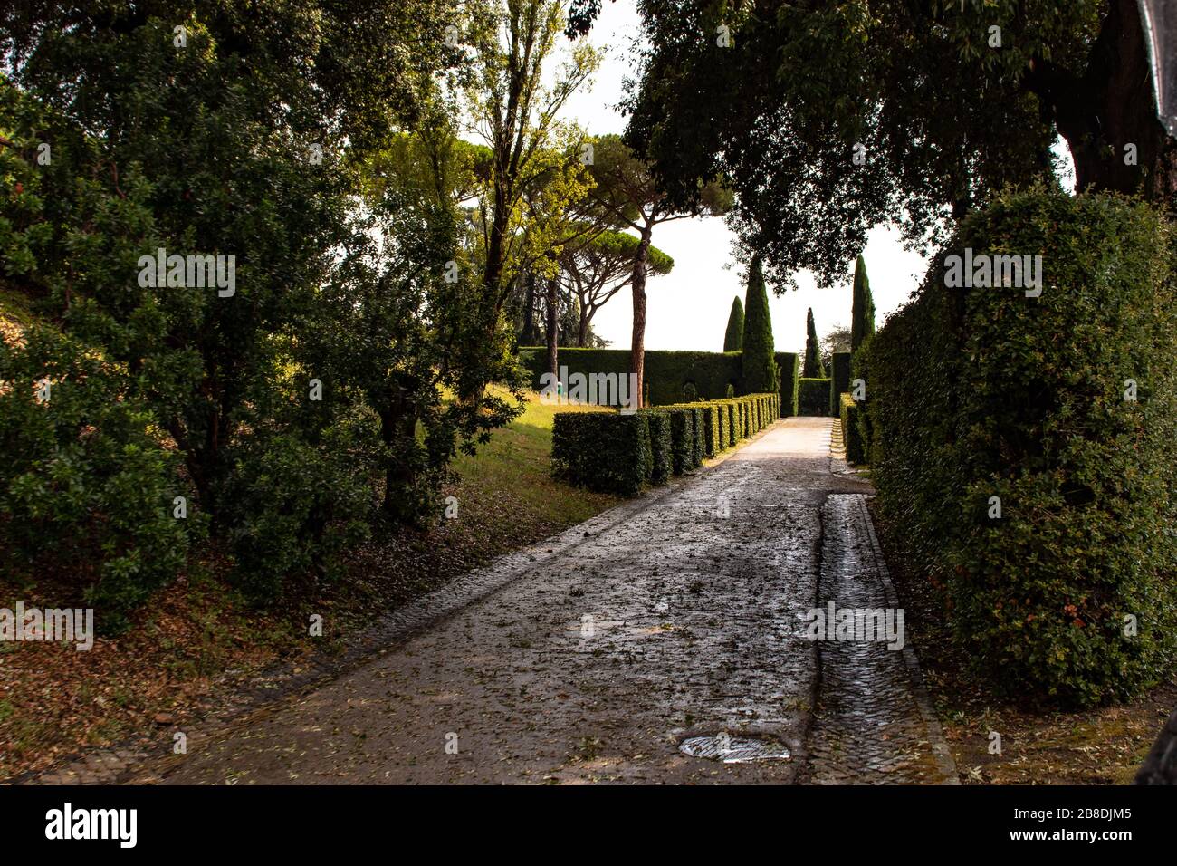 Rome 8 March 2020. The Vatican gardens of the papal residence, well ...