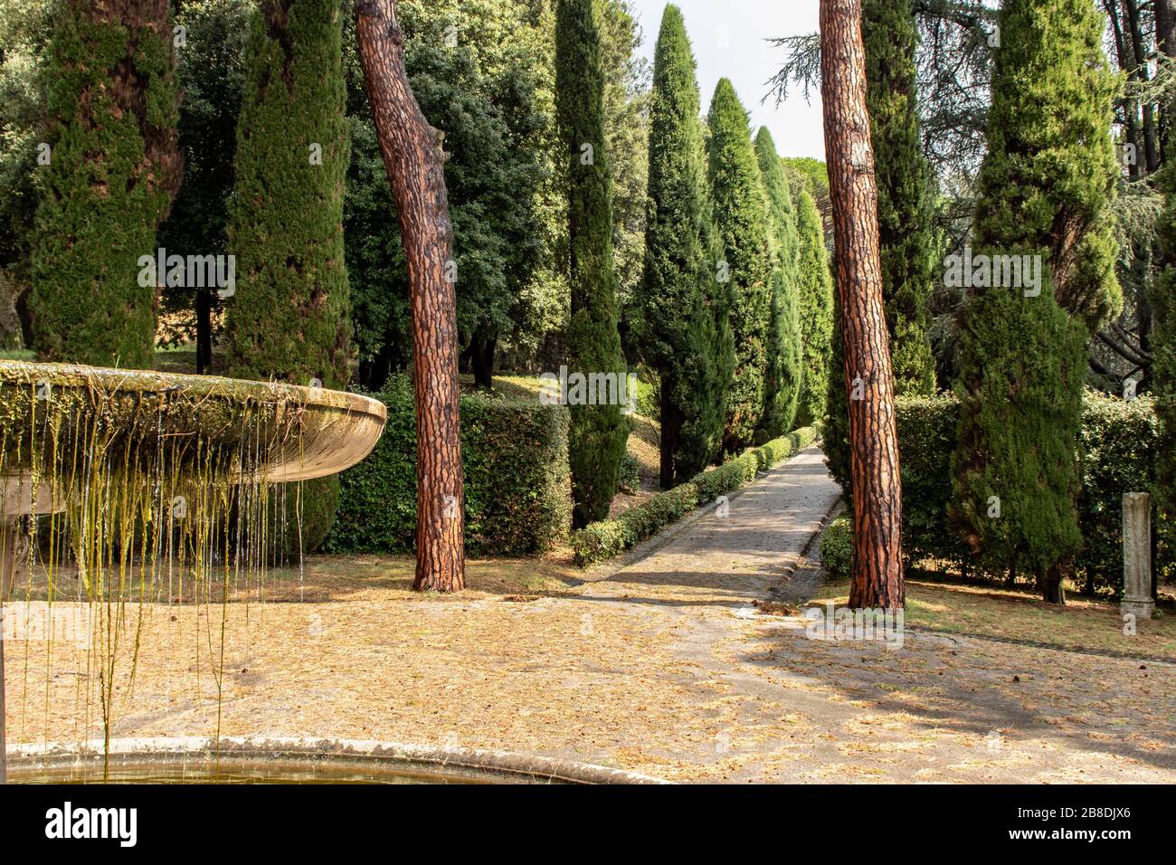 Rome 8 March 2020. The Vatican gardens of the papal residence, well ...