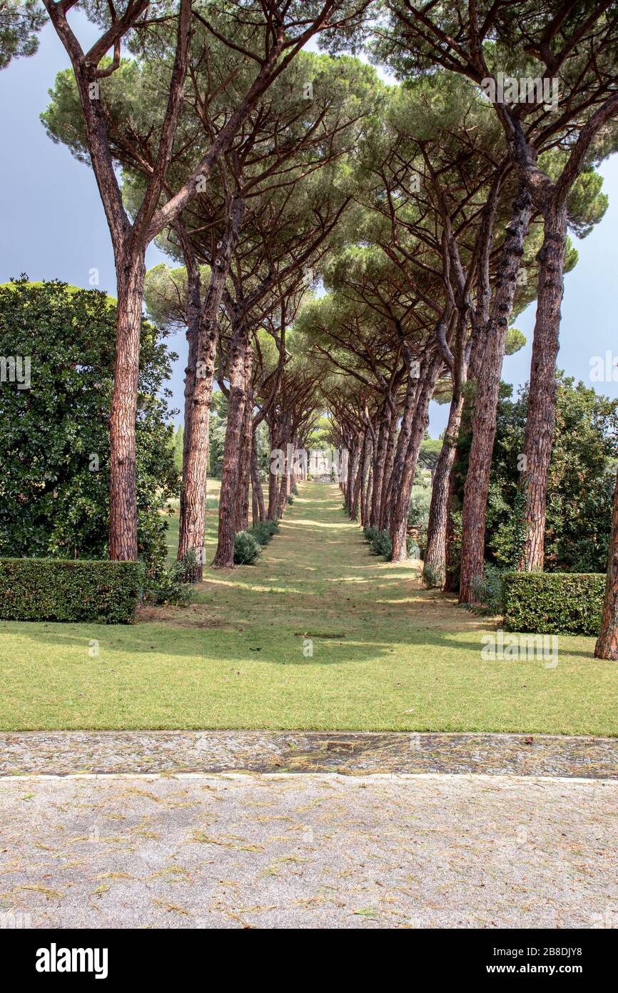 Rome 8 March 2020. The Vatican gardens of the papal residence, well ...