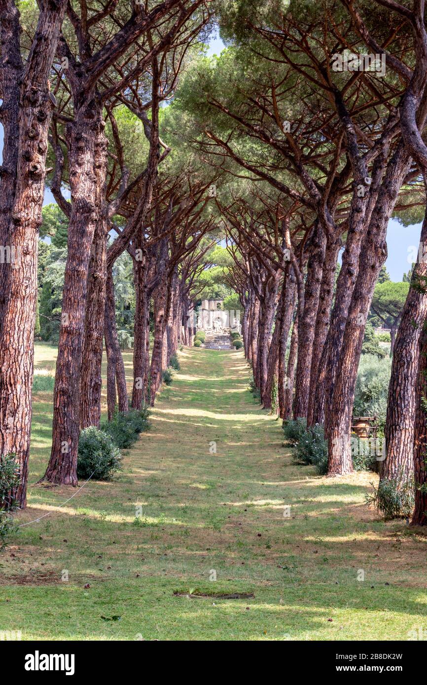 Rome 8 March 2020. The Vatican gardens of the papal residence, well ...