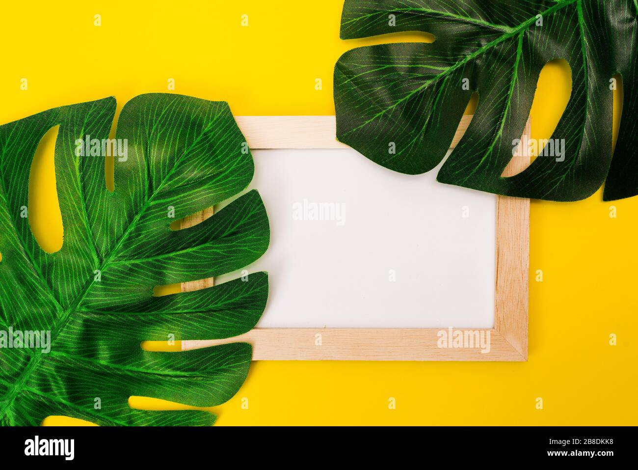 Tropical botanical background with a space for a text, view from above ...