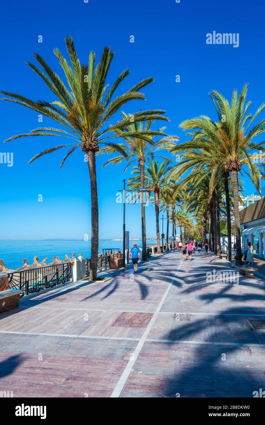 Paseo Maritimo seaside promenade, Marbella, Andalucia, Spain, Europe ...