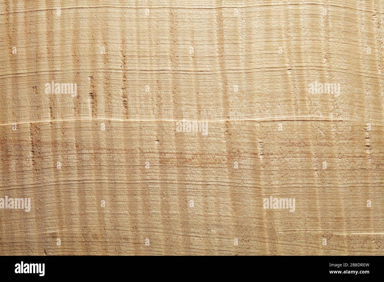 wood maple sycamore background texture Stock Photo - Alamy