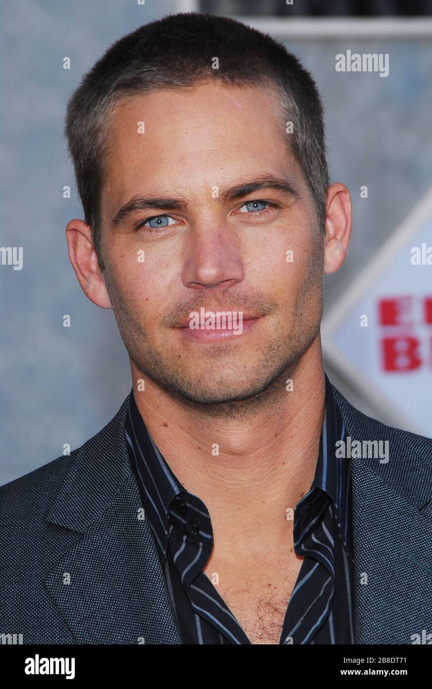 Paul Walker at the World Premiere of "Eight Below" held at the El ...