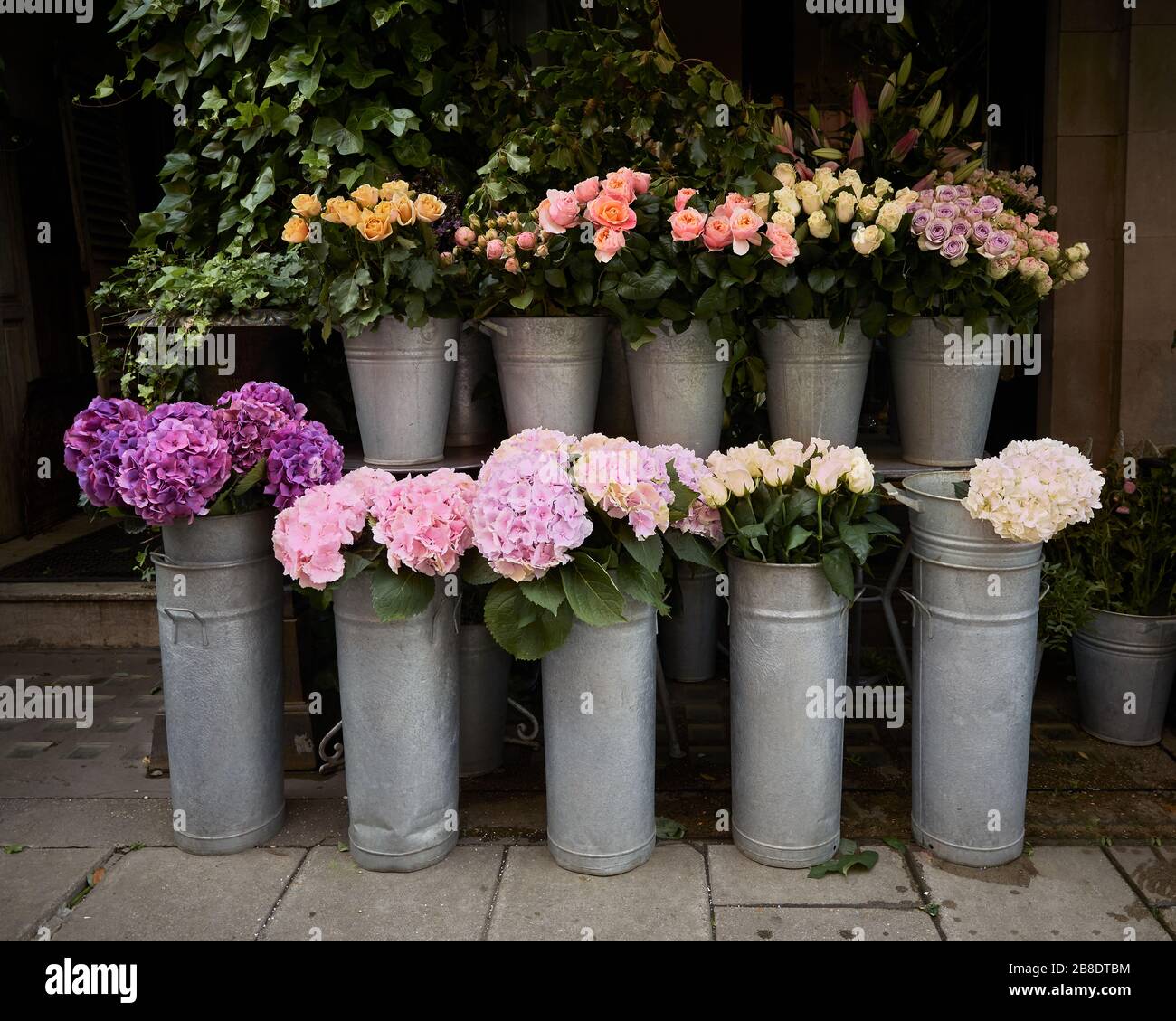Flowers in metal pots Stock Photo - Alamy