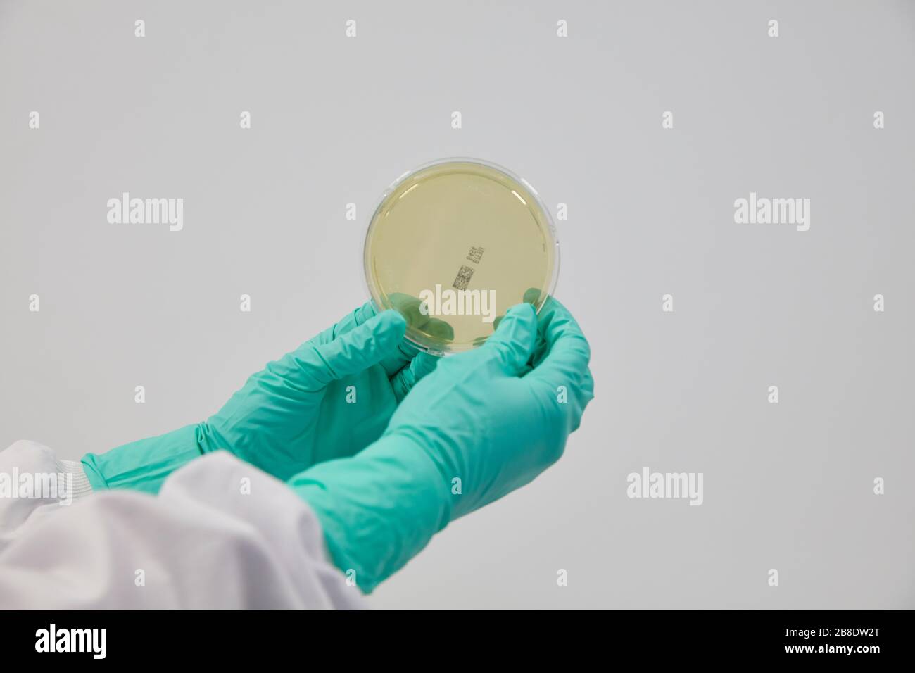 Medical lab hi-res stock photography and images - Alamy