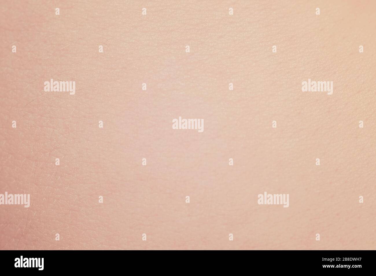 Pattern of pink human skin close up view Stock Photo - Alamy