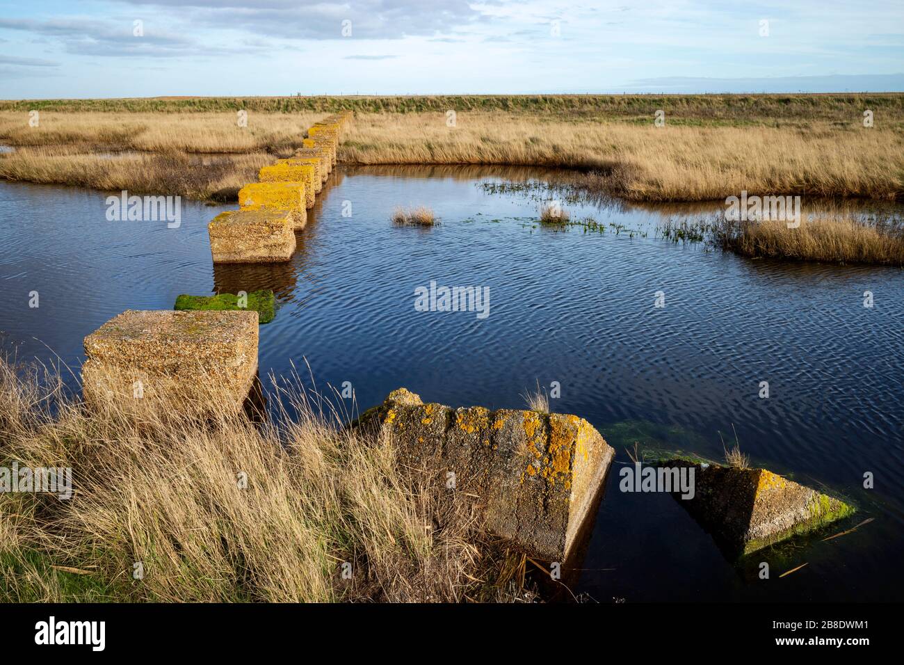 Ww2 anti invasion concrete blocks shingle hi-res stock photography and ...