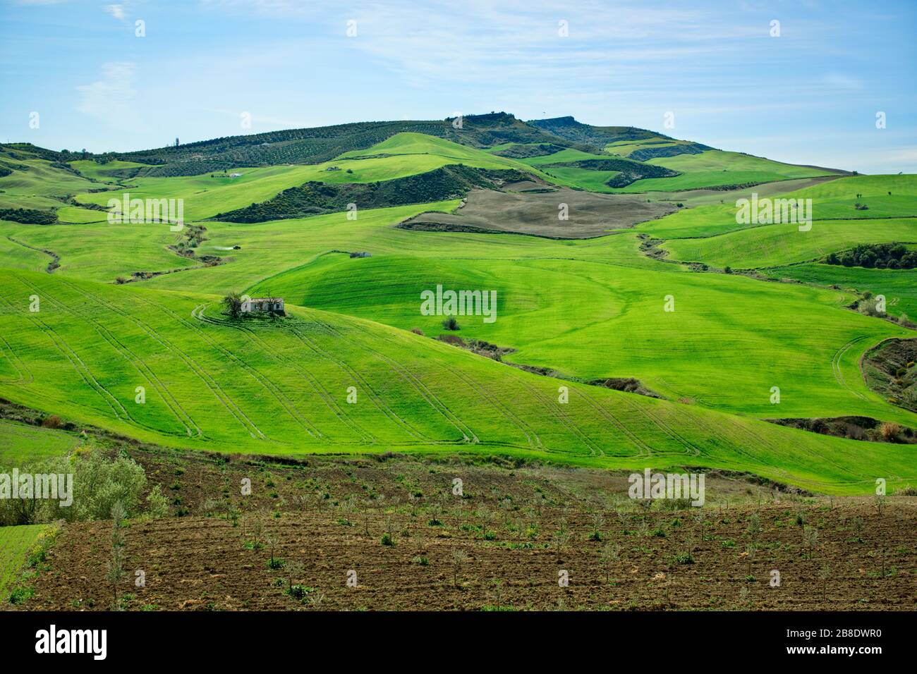Rolling hills of Andalusia early in spring Stock Photo - Alamy