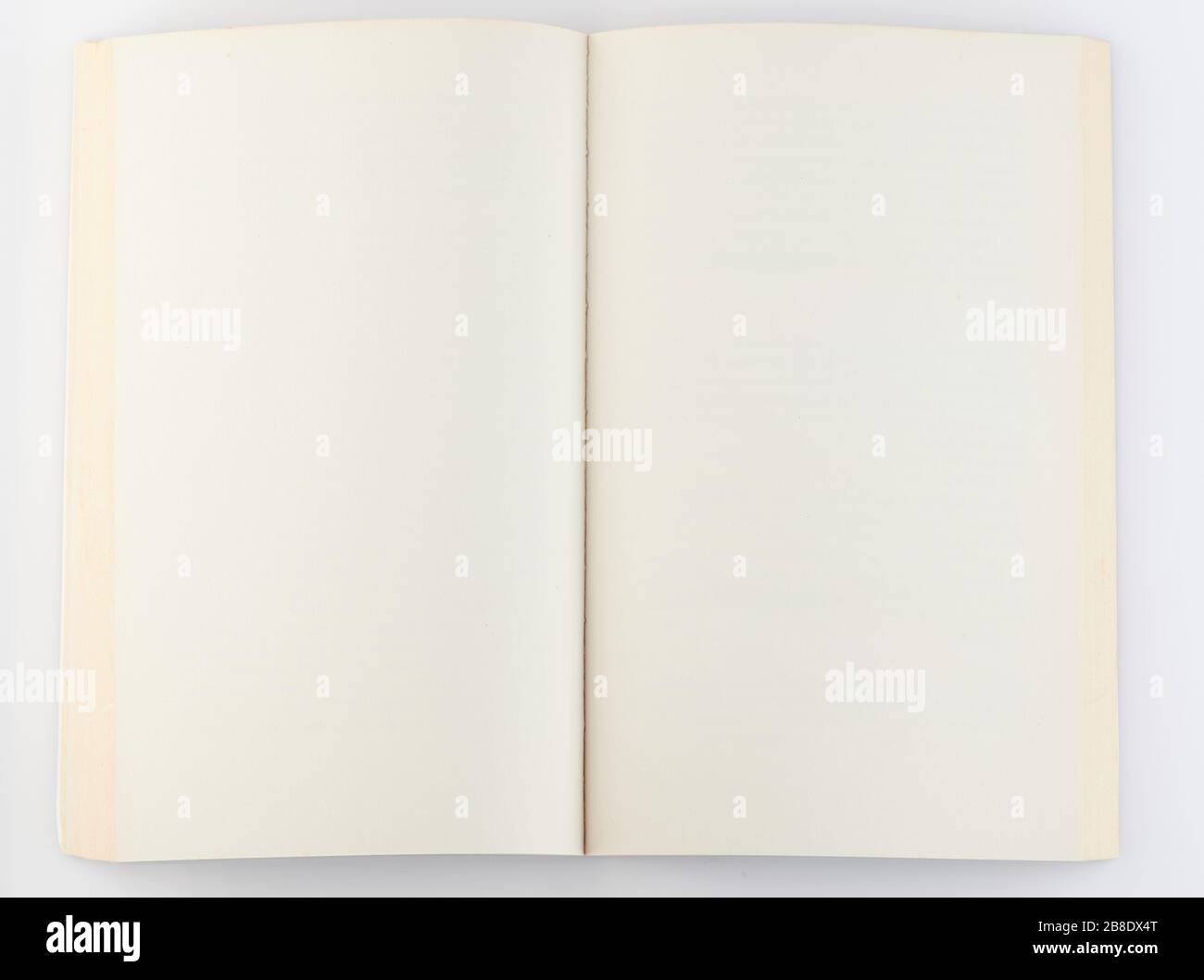 Open empty clean book isolated above top view Stock Photo - Alamy