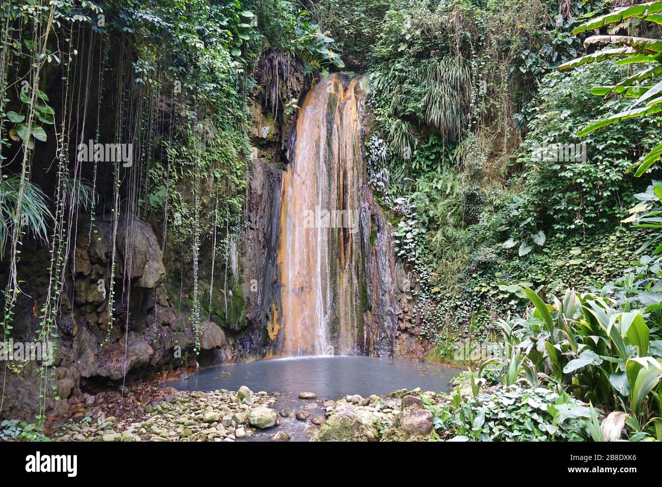 View of the Diamond Waterfall in the Diamond Botanical Gardens in St ...