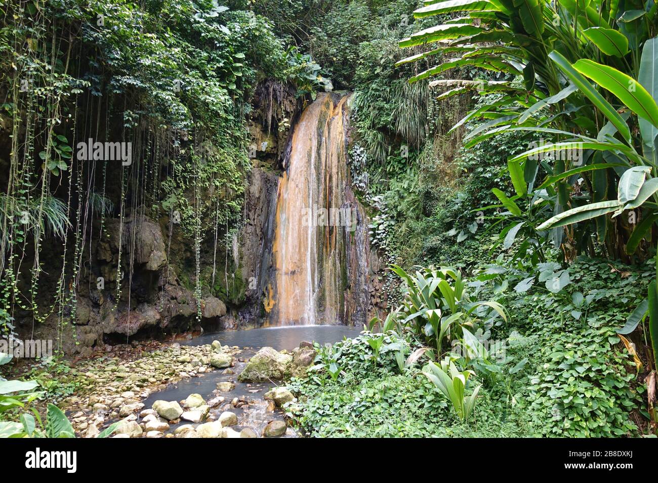 View of the Diamond Waterfall in the Diamond Botanical Gardens in St ...