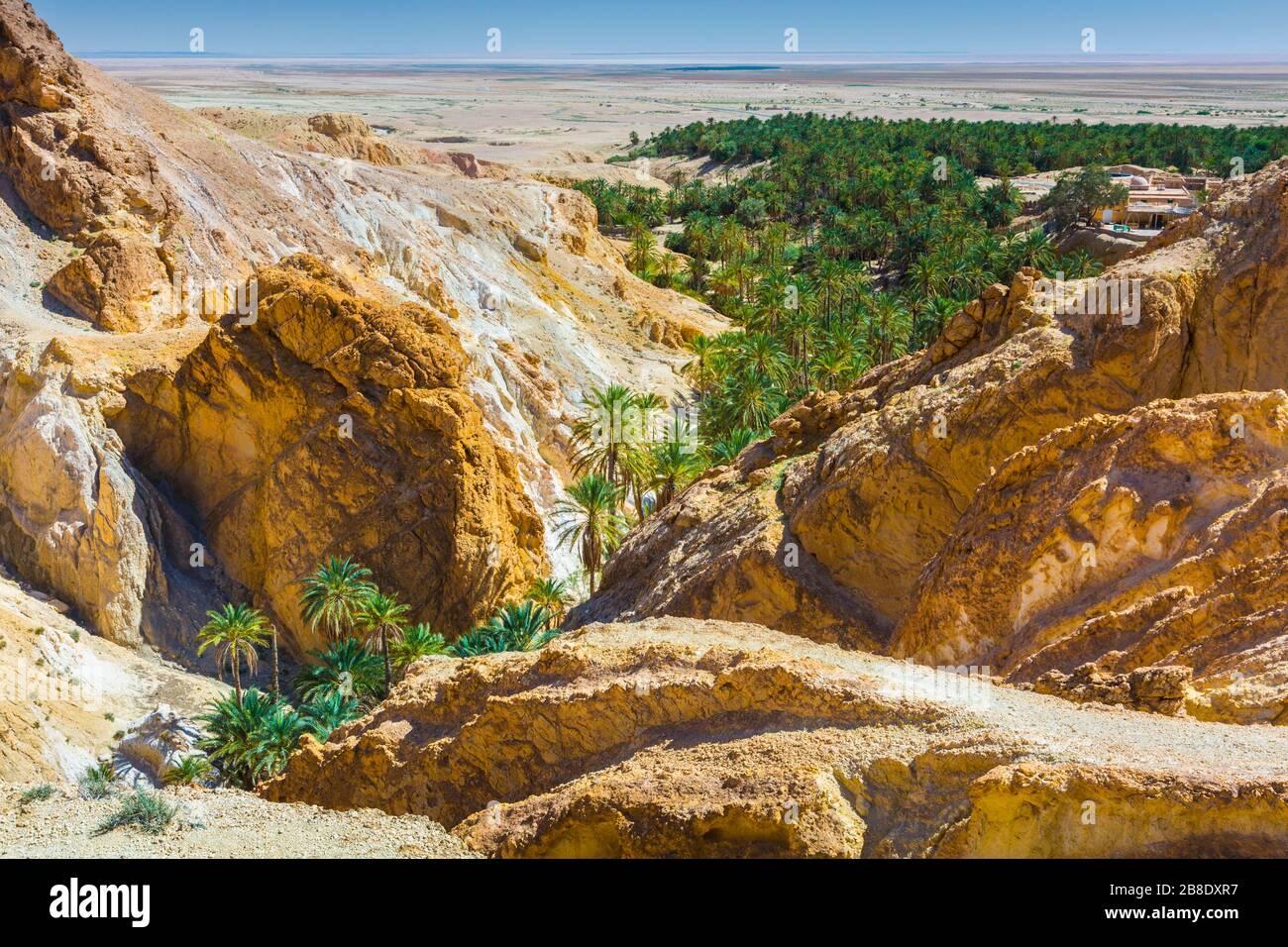 Hot desert environment oasis hi-res stock photography and images - Alamy