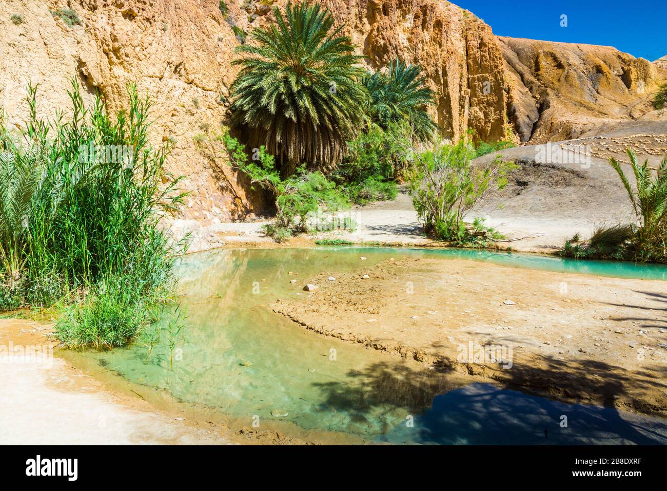 Oasis mountain hi-res stock photography and images - Alamy