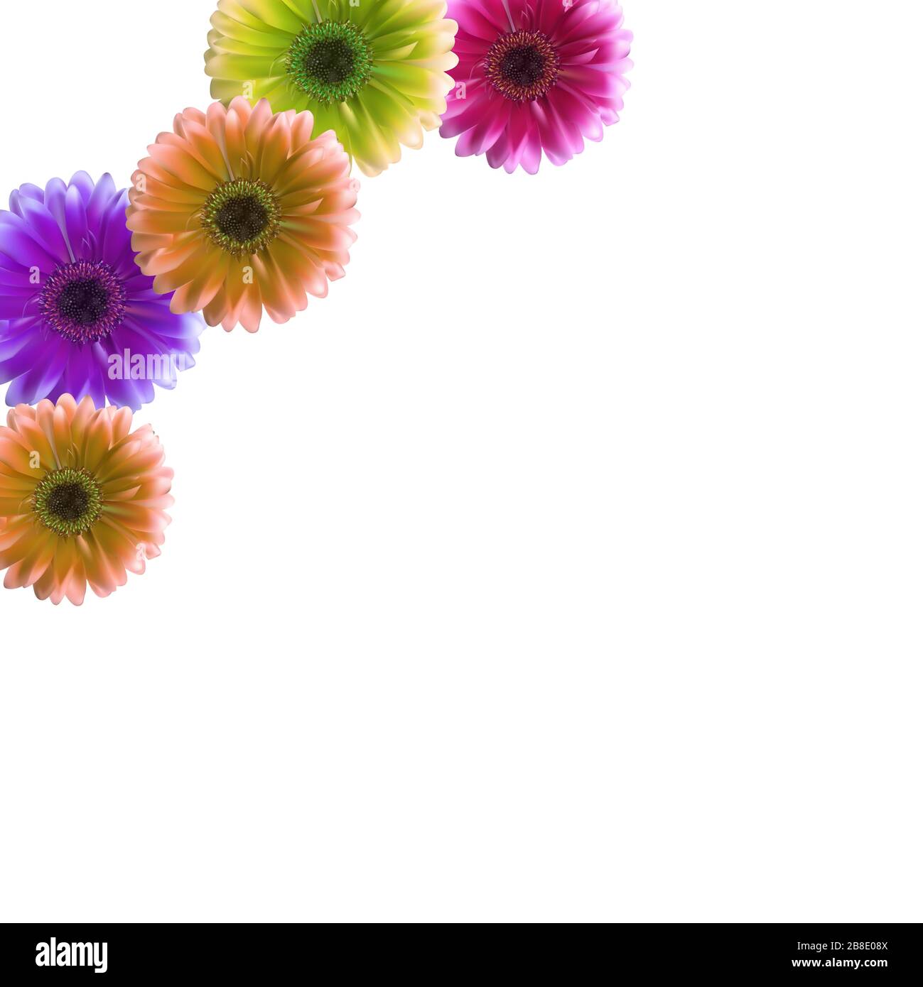 Gerbera Flower Background Vector Illustration EPS10 Stock Vector Image ...