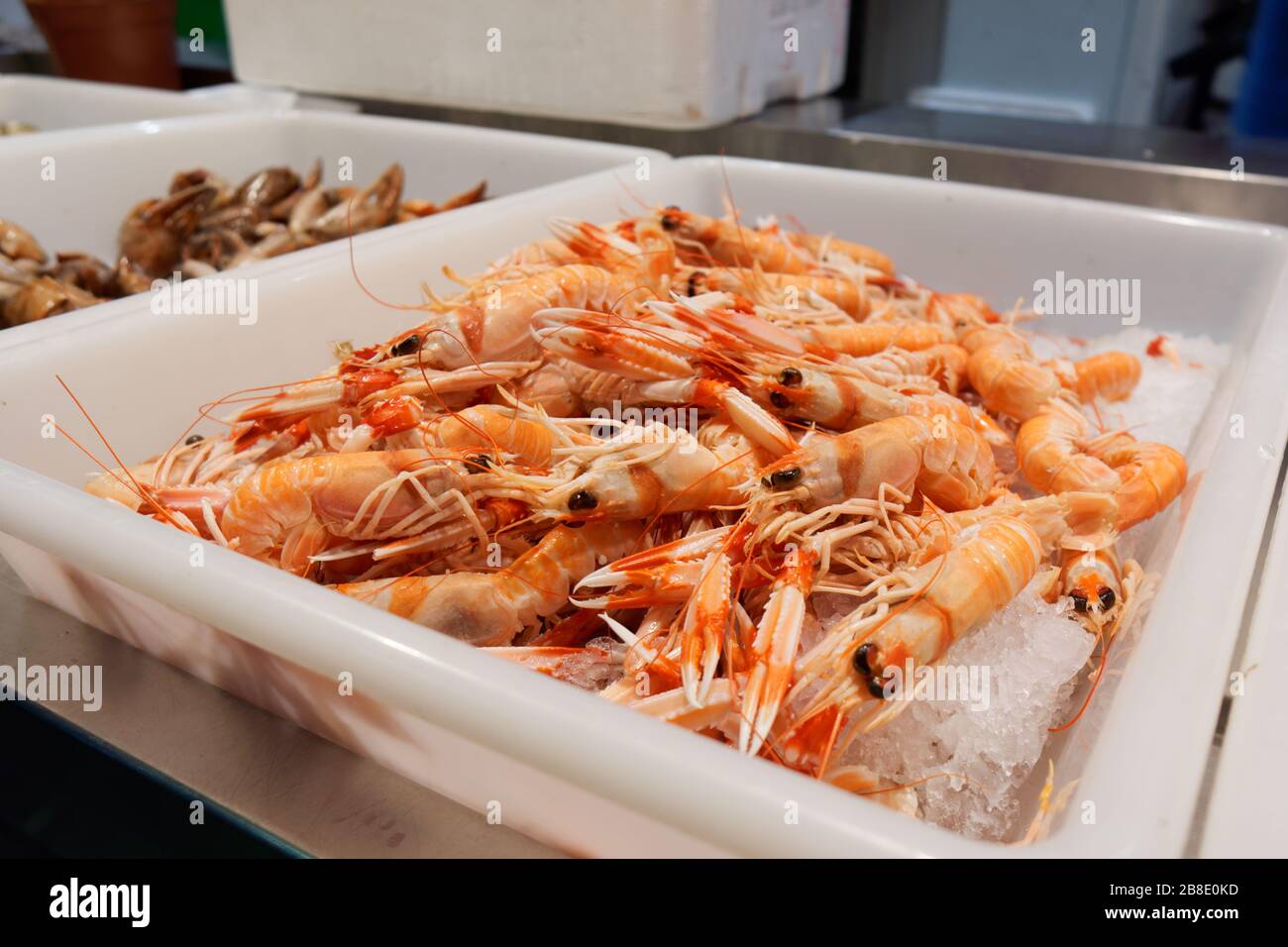 Pile of scampi on fish market iced display Stock Photo - Alamy