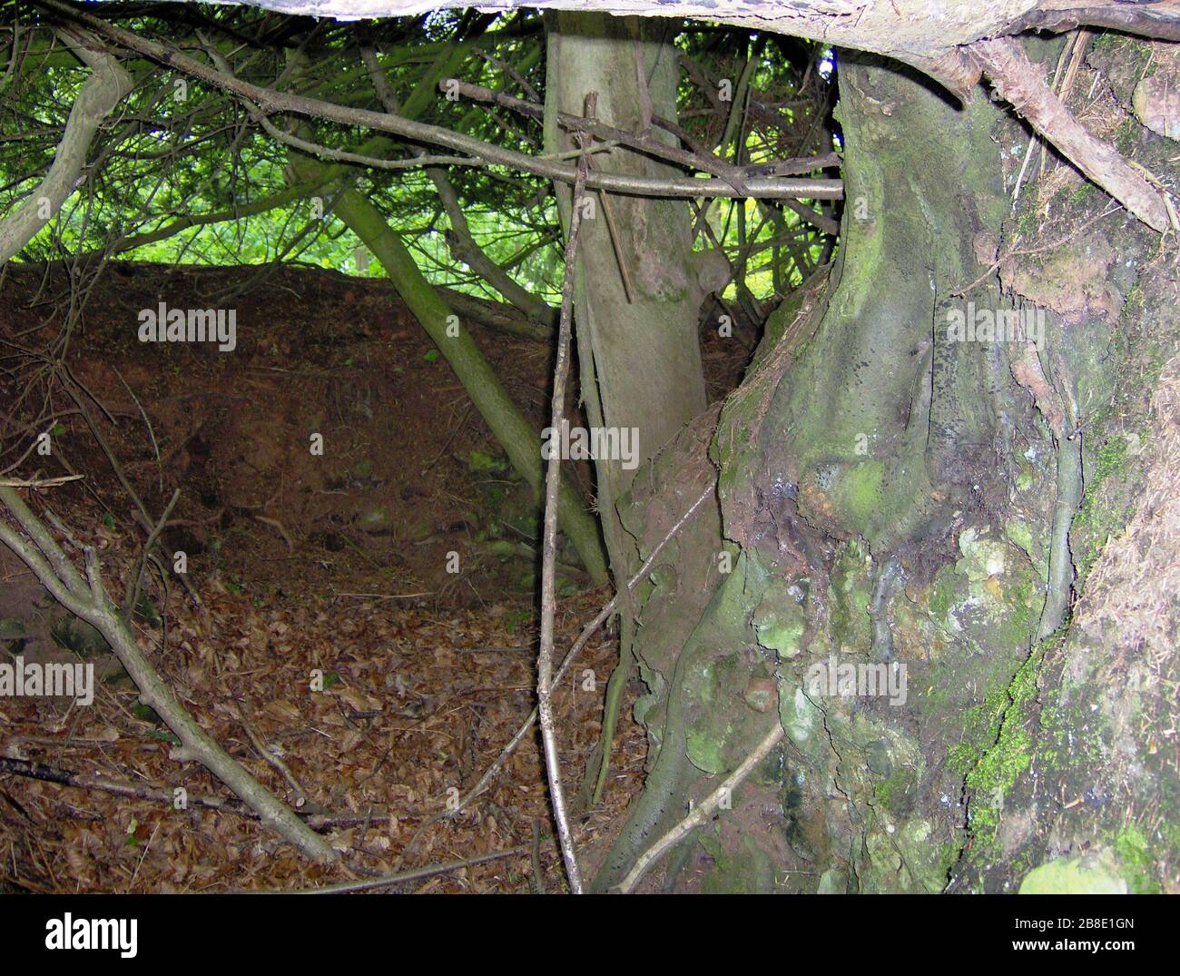 Harptree High Resolution Stock Photography and Images - Alamy