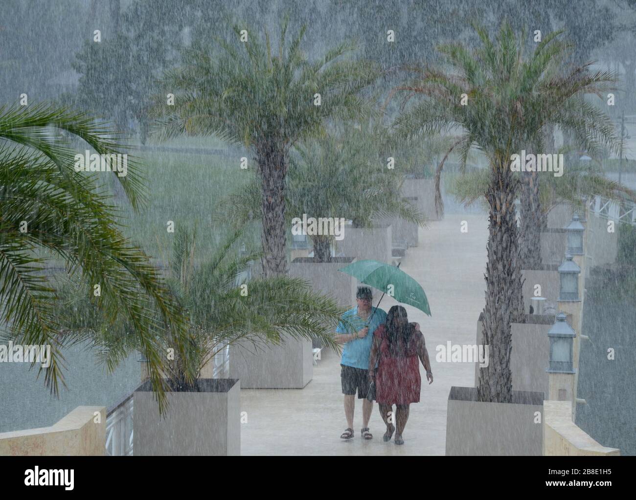 Tropical rain storm, Dominican Republic Stock Photo - Alamy