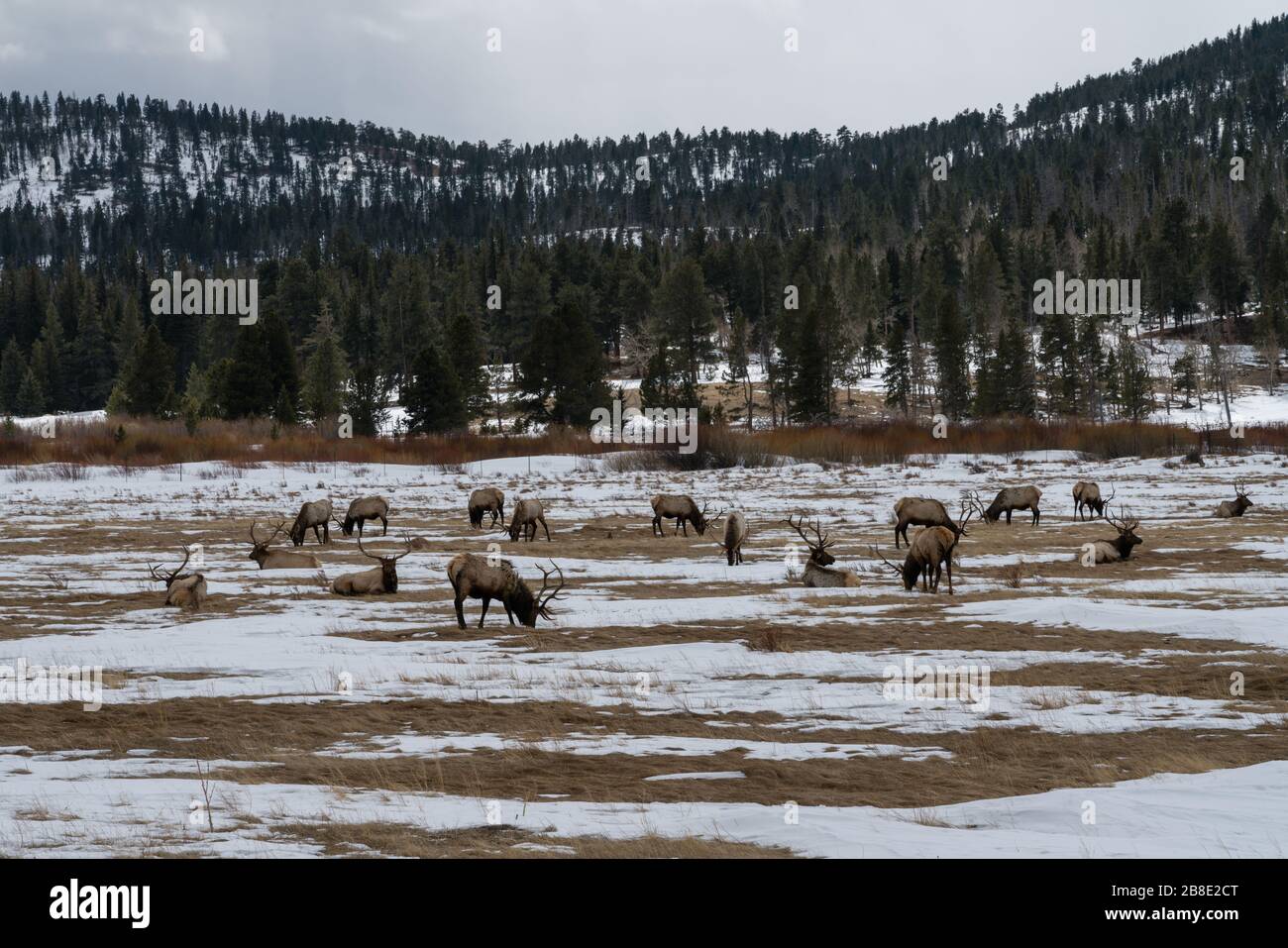 Rocky Mountain National Park - Estes Park, Colorado Stock Photo - Alamy Rocky Mountain National Park - Estes Park, Colorado Stock Photo - Alamy