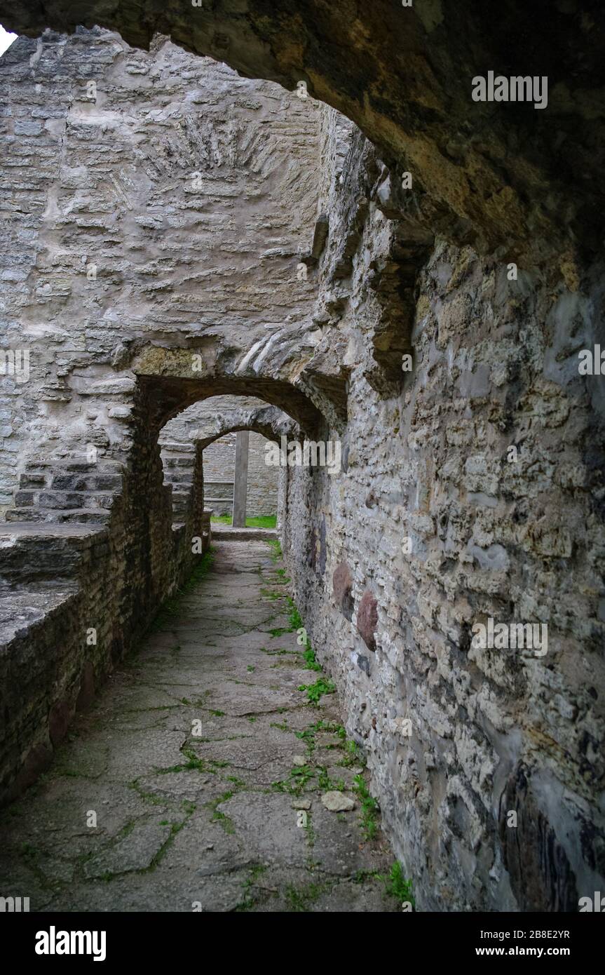 Ancient ruined St. Brigitta convent in Pirita region, Tallinn, Estonia ...