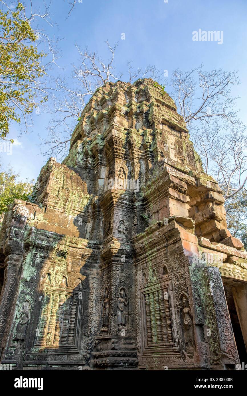 Ancient Khmer architecture ,Ta Prohm temple ruins hidden in jungle in ...