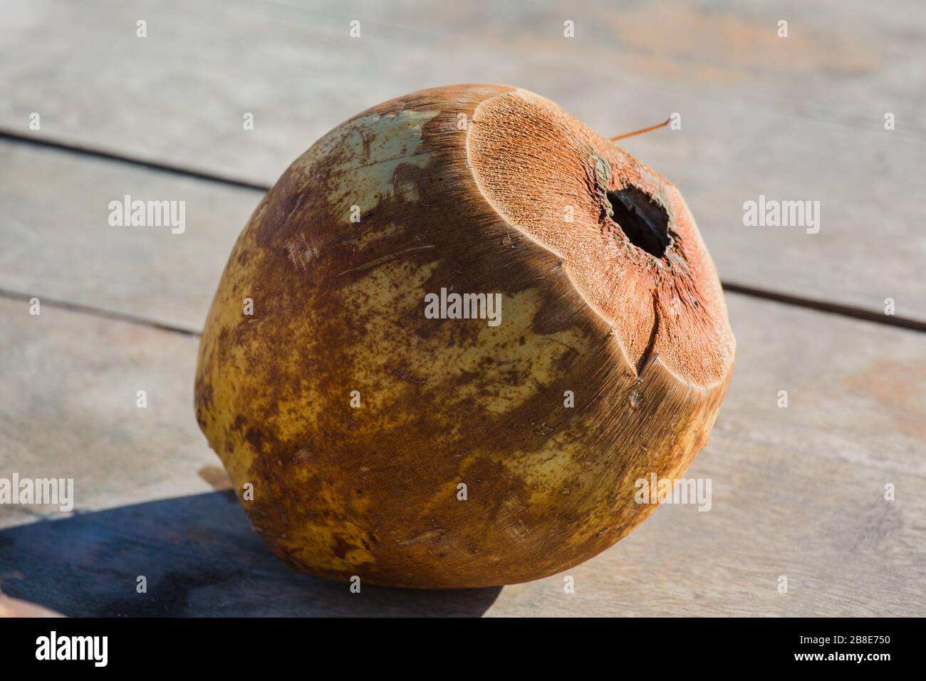 special single hole of coconut shell difference Stock Photo - Alamy