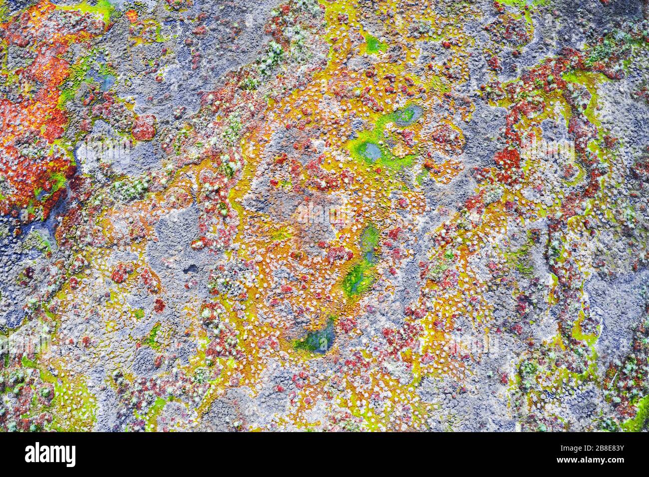 Swamp aerial hi-res stock photography and images - Alamy