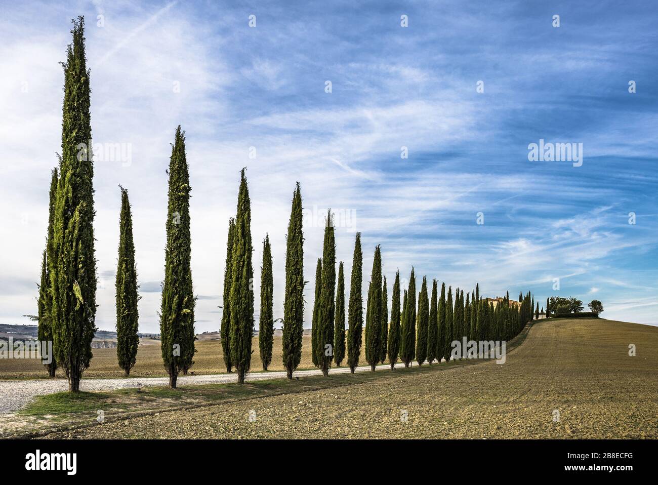 Val dorcia cipressi hi-res stock photography and images - Alamy