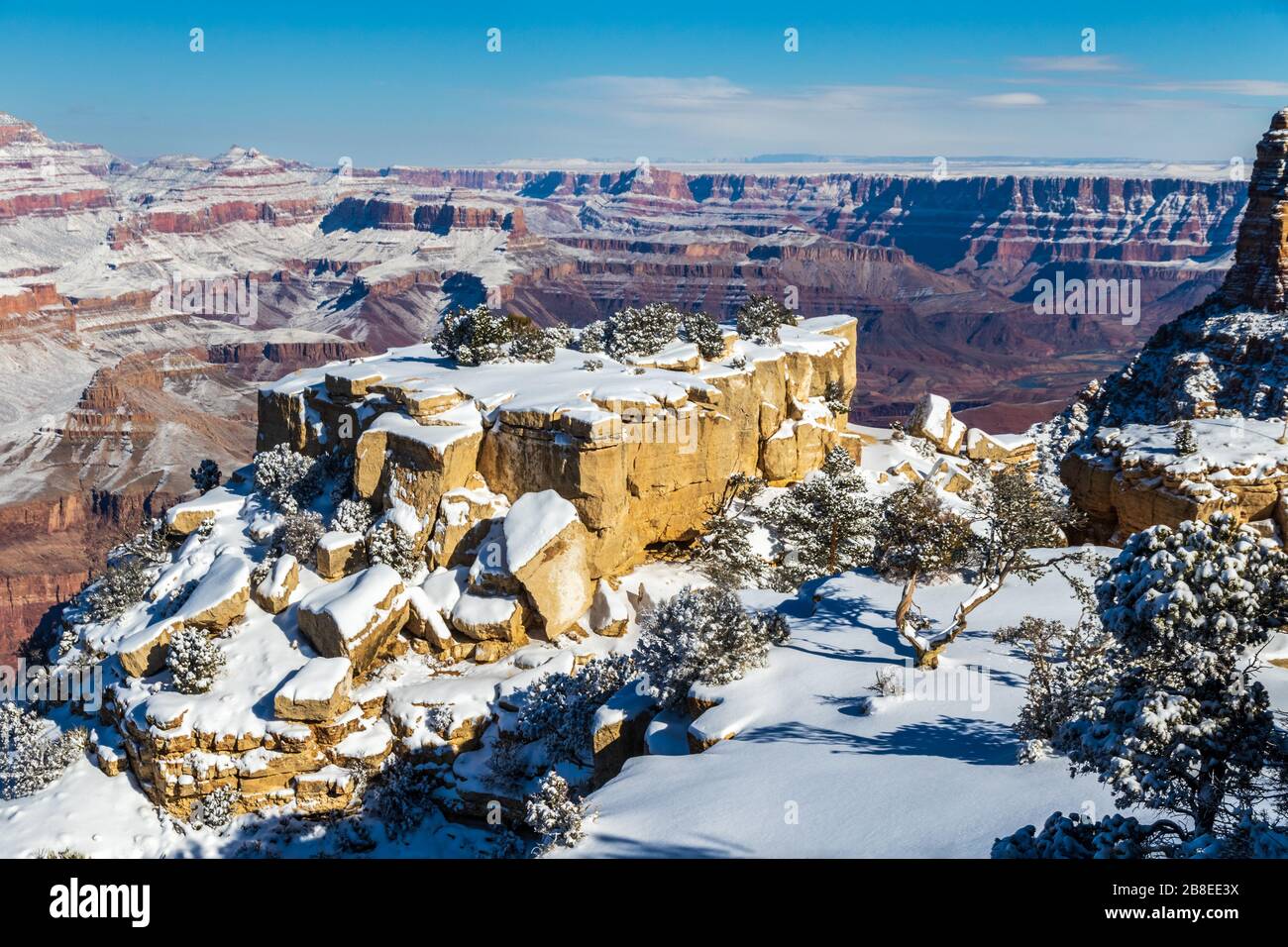 Grand Canyon, at Moran Point after winter storm. Rocks and plants ...