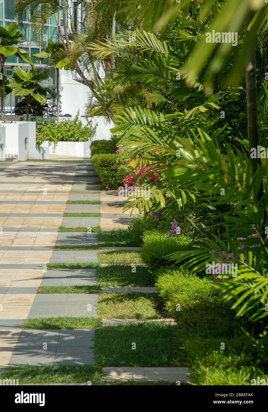 Soft landscaping hi-res stock photography and images - Alamy