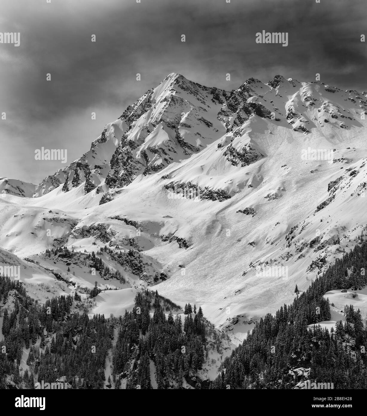 Trees mountain in french alps Black and White Stock Photos & Images - Alamy