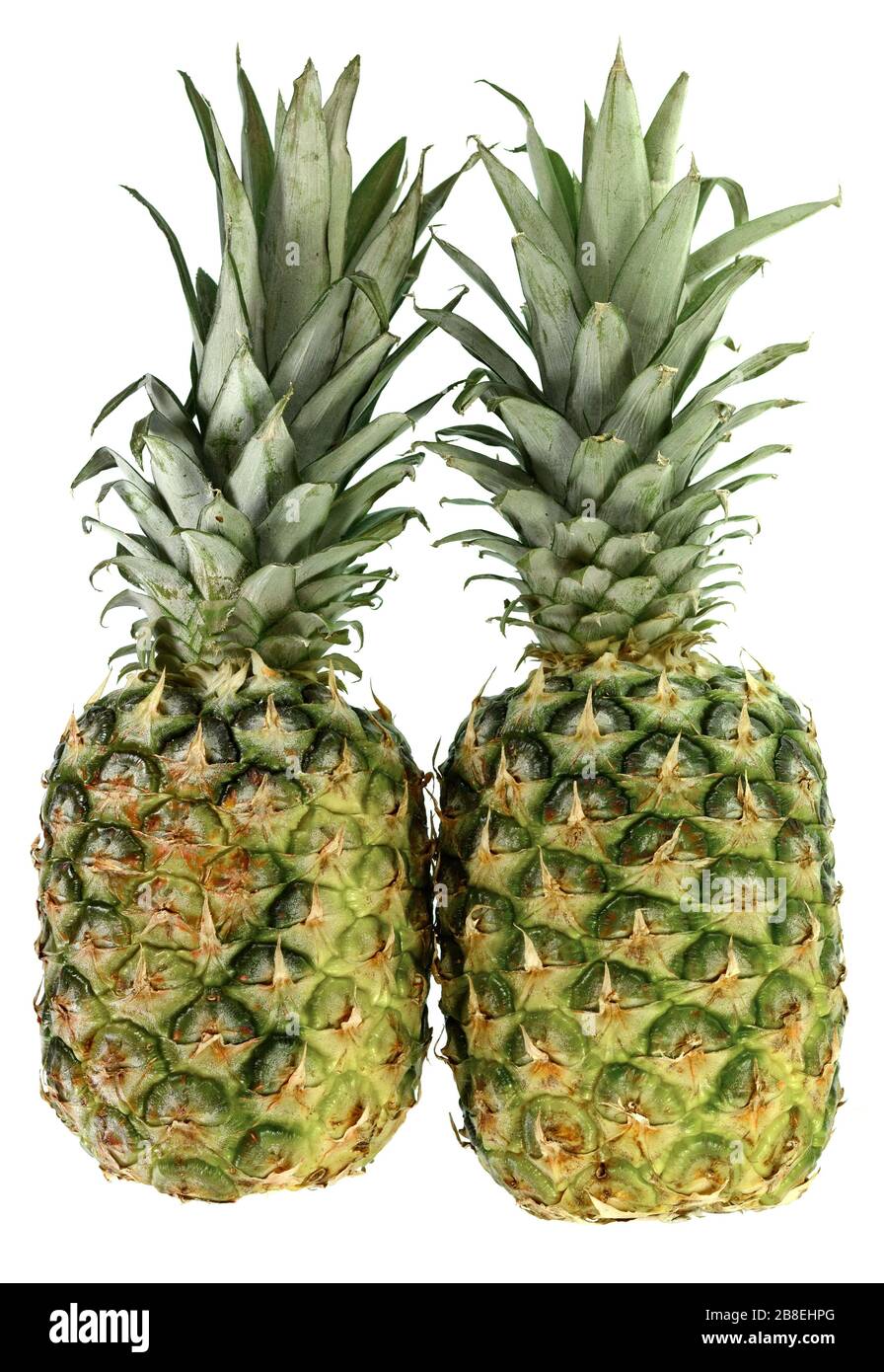 Two Pineapples Isolated on White Background. Pineapple tropical fruit ...