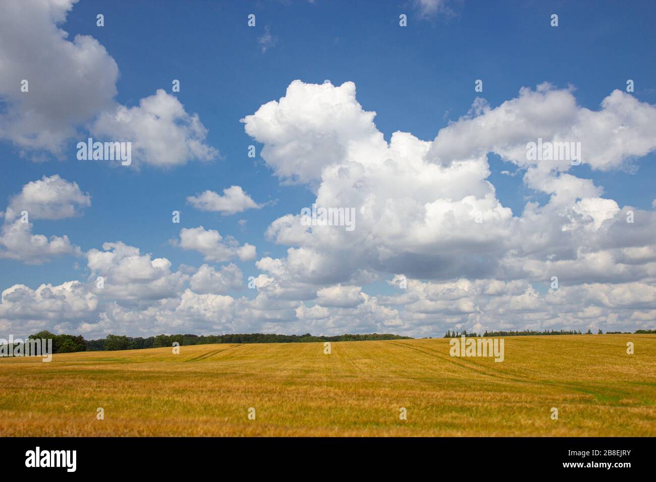 agricultural landscape of Lolland island in Denmark Stock Photo - Alamy