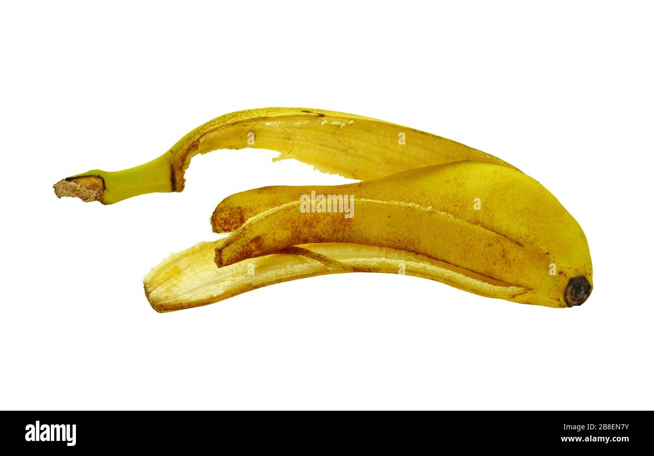 Bananas Skin isolated on white background. Banana peel close up Stock ...