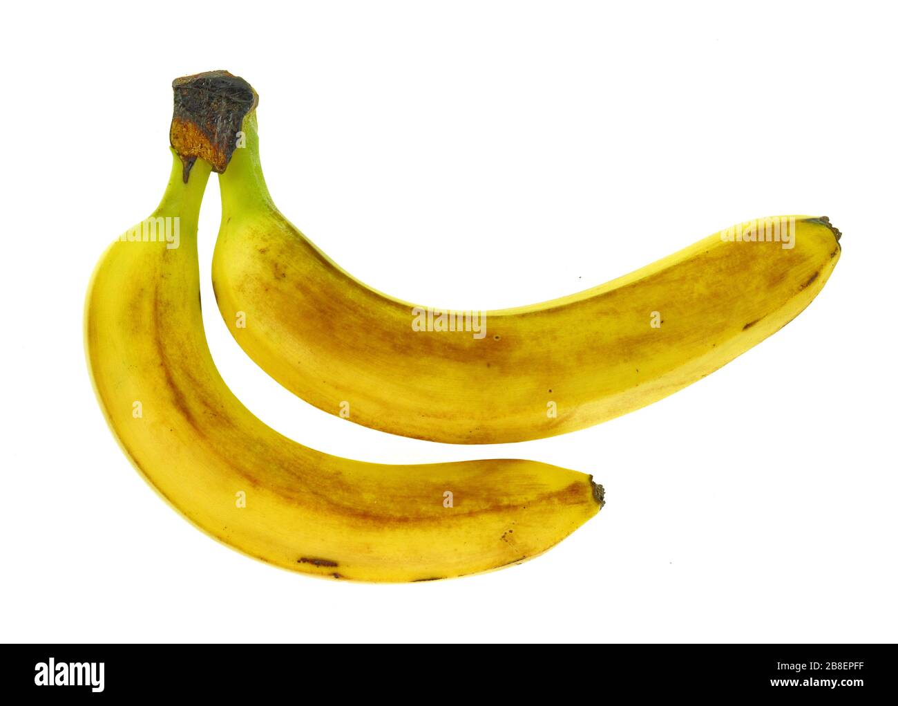 Two bananas isolated on white background Stock Photo - Alamy