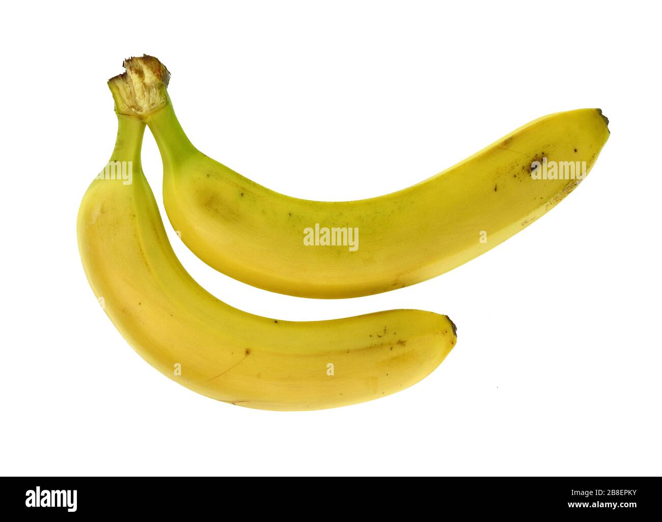Two bananas isolated on white background Stock Photo - Alamy