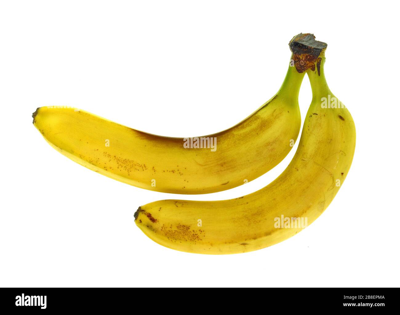 Two bananas isolated on white background Stock Photo - Alamy
