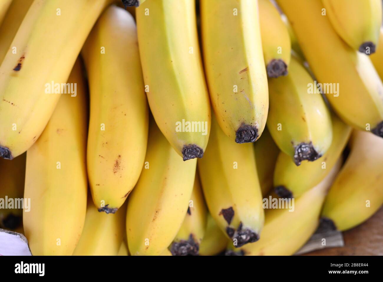 Ripe bananas on market shelf.Fresh bananas at the market. Fresh banana ...