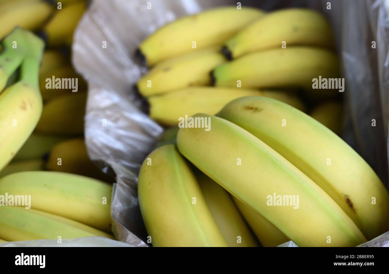 Ripe bananas on market shelf.Fresh bananas at the market. Fresh banana ...
