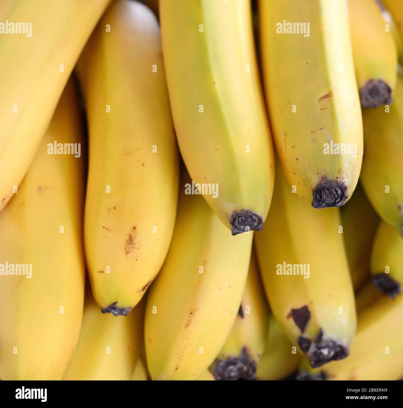 Ripe bananas on market shelf.Fresh bananas at the market. Fresh banana ...