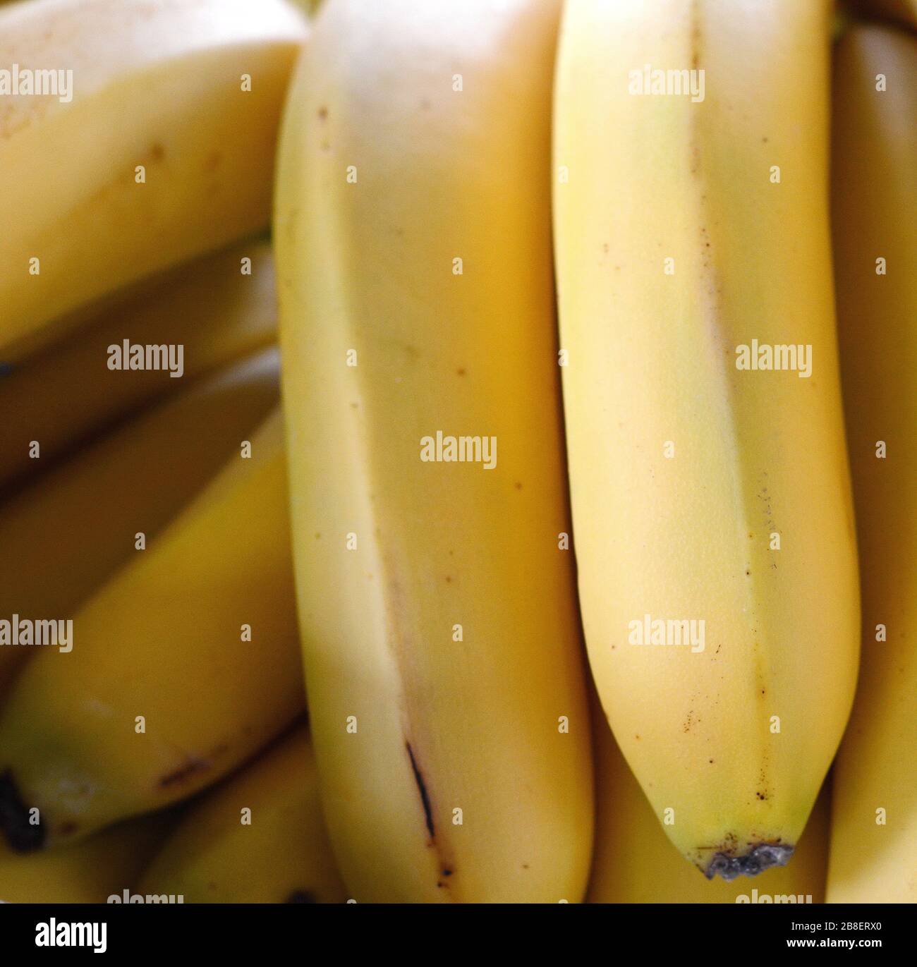 Ripe bananas on market shelf.Fresh bananas at the market. Fresh banana ...